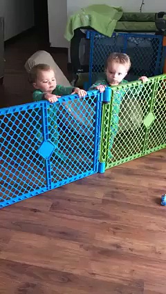 Smart Babies Show Great Teamwork 👶🧠 | Cutest Collab Ever! 💯