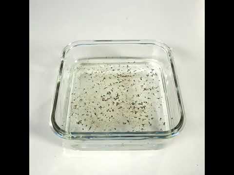 One easy water trick you can do with your kids
